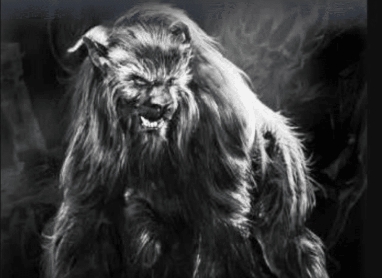 Trucker Sees Skinwalker Near China Spring And Whitney, TX - True Horror ...